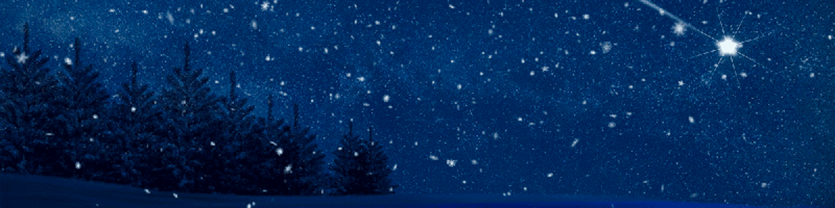 Christmas@StPauls_Banner_2021_1200x200_ANIMATION4 – St Pauls Crofton